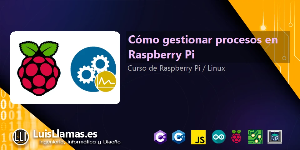 How to manage processes on Raspberry Pi